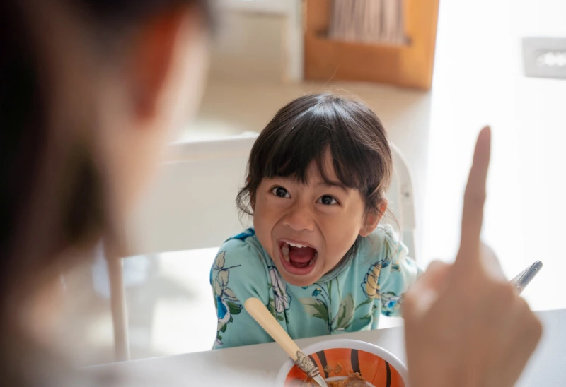 Penyebab Perilaku Agresif Pada Anak Dan Tips Mengatasinya